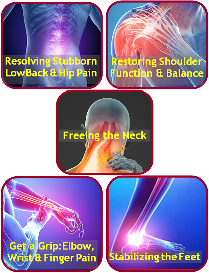 Hands-On Workshops via Live Webinars NCBTMB Approved 8 CEUs for Trigger Point Therapy Training ...